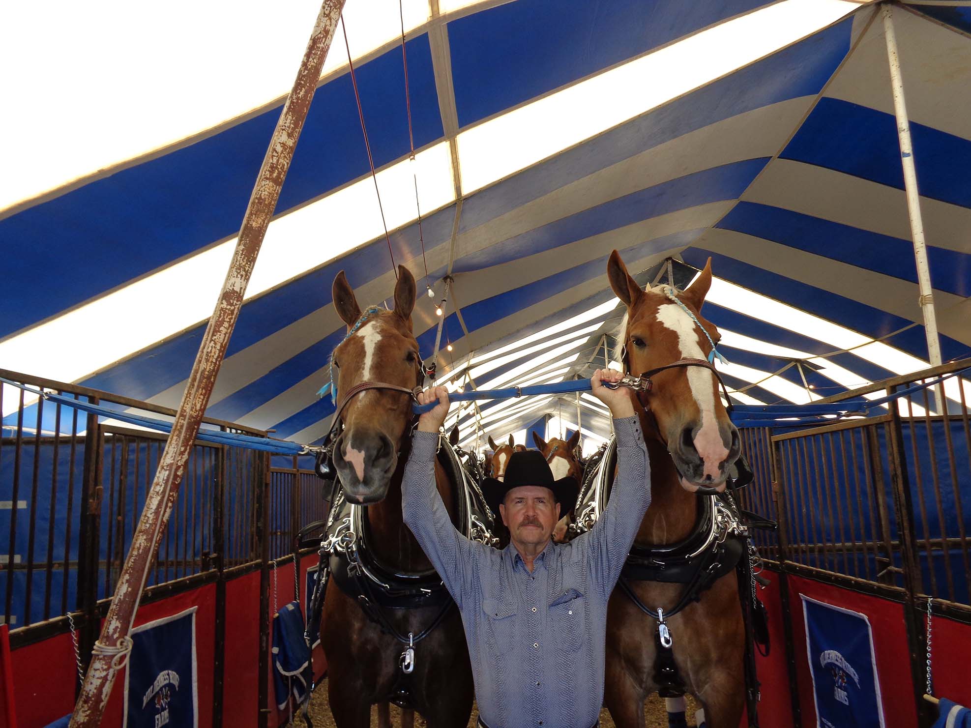 Don Best - Vestibular Disorders Association