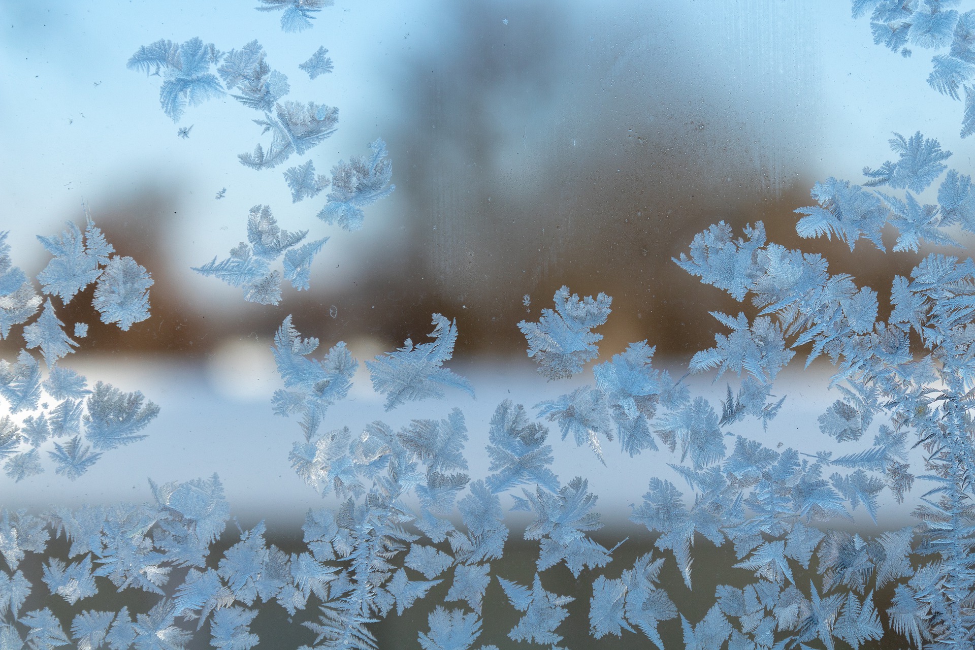 Visual Snow Syndrome VeDA