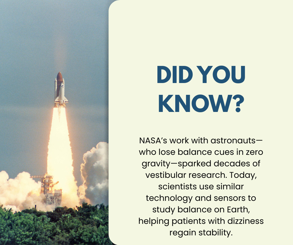 Top Ten Things You Didn't Know About the Vestibular System - Vestibular ...